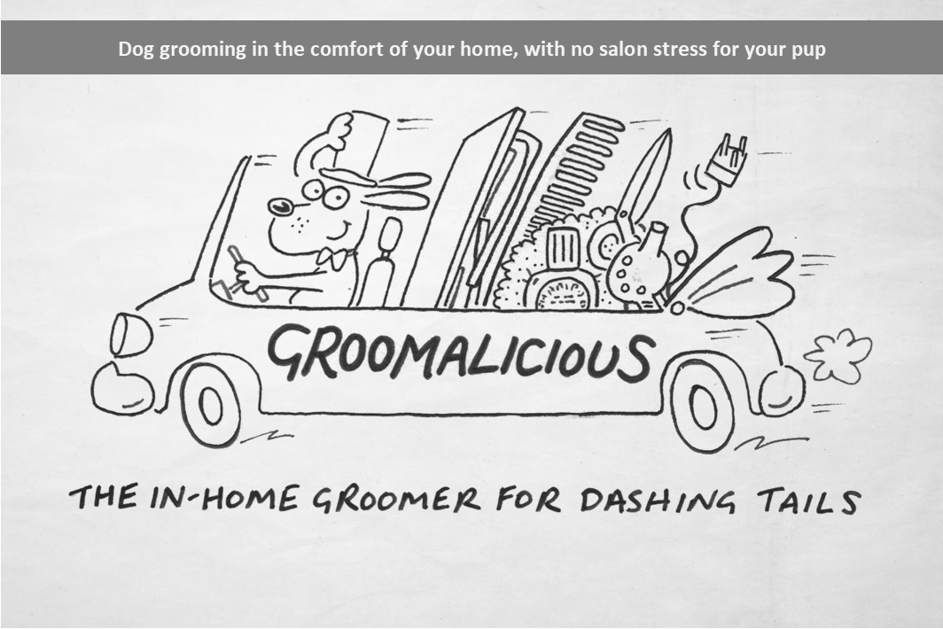 For dashing tails call 07931 534602